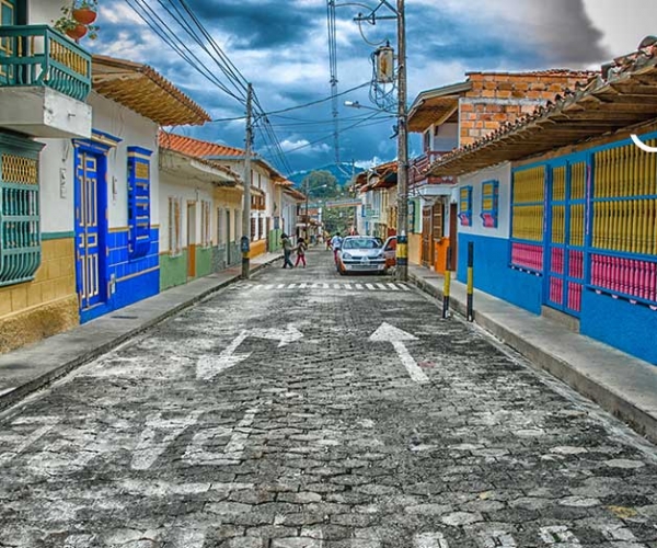 Oliva – Jacom La Revista