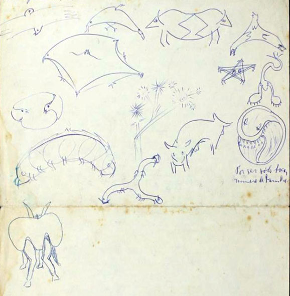 Animales – Jacom La Revista