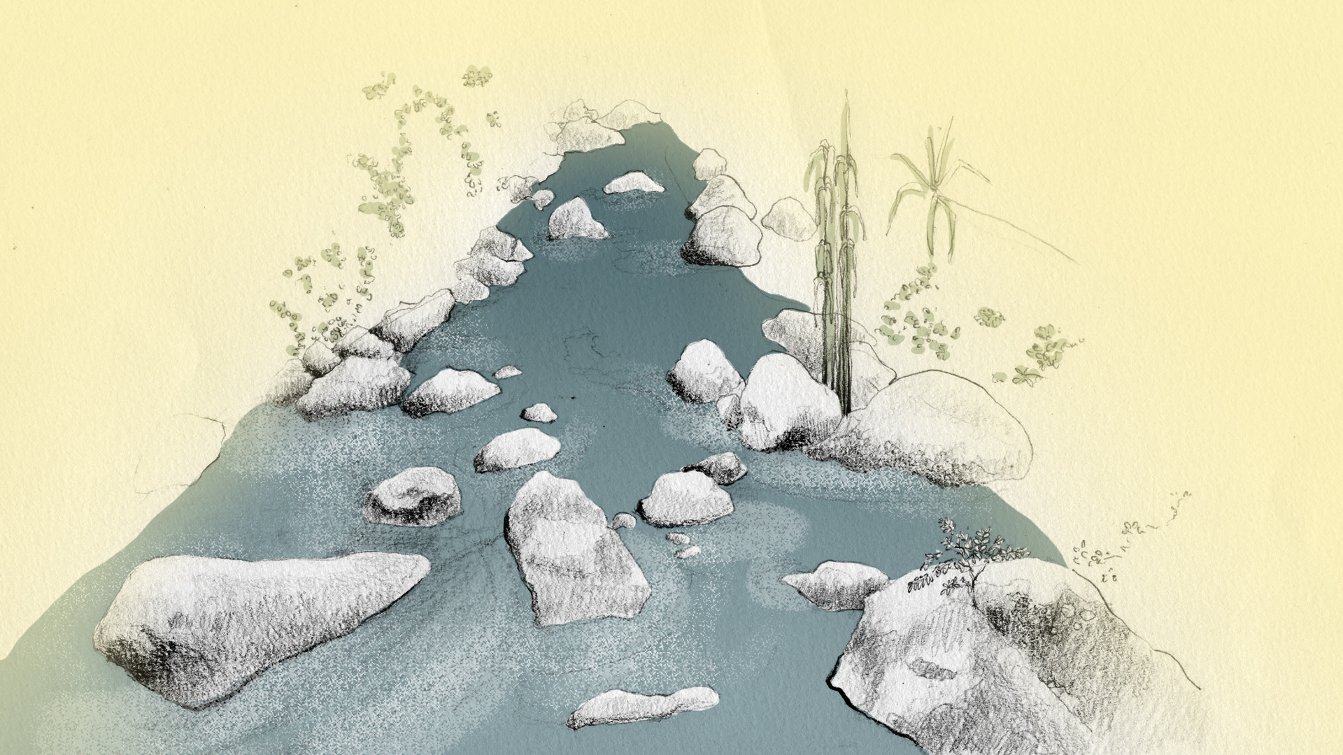 Historias – Jacom La Revista