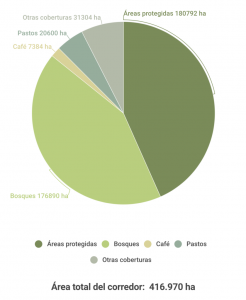 Cereal – Jacom La Revista